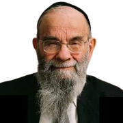 Shas Illuminated
